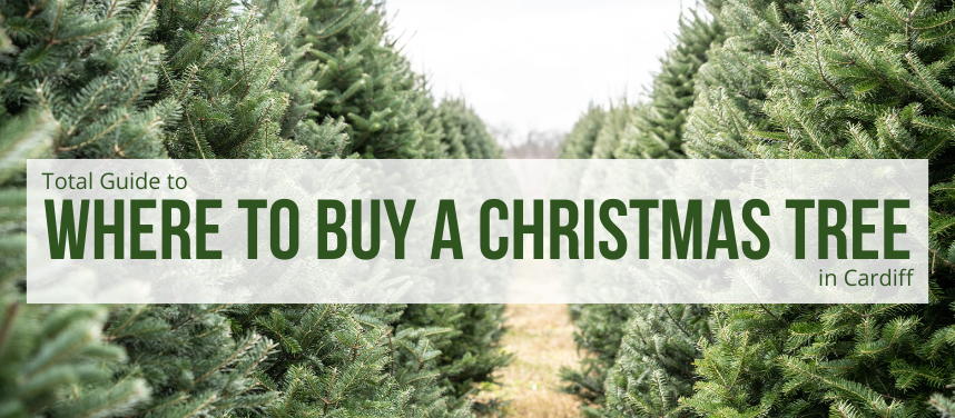 Christmas in Cardiff | Christmas Events Cardiff 2025